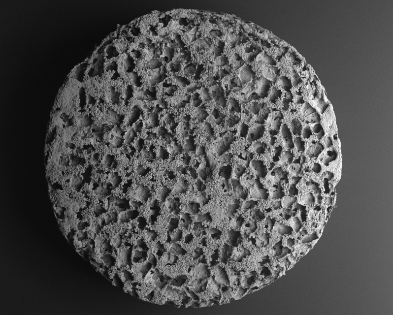 Biomaterial scaffold-based immunotherapy platforms licensed to Novartis ...